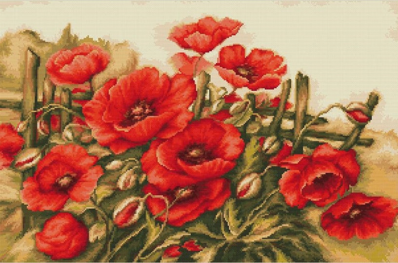 Cross Stitch Poppy Field, Counted Cross Stitch Kit Luca-s B490 – Sew ...